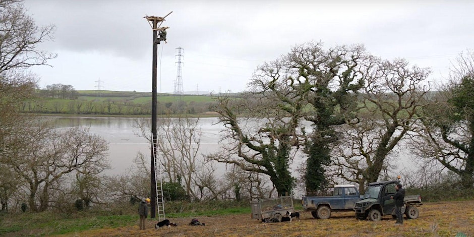 Tamar and Tavy Osprey Project Launch – Warleigh Barton